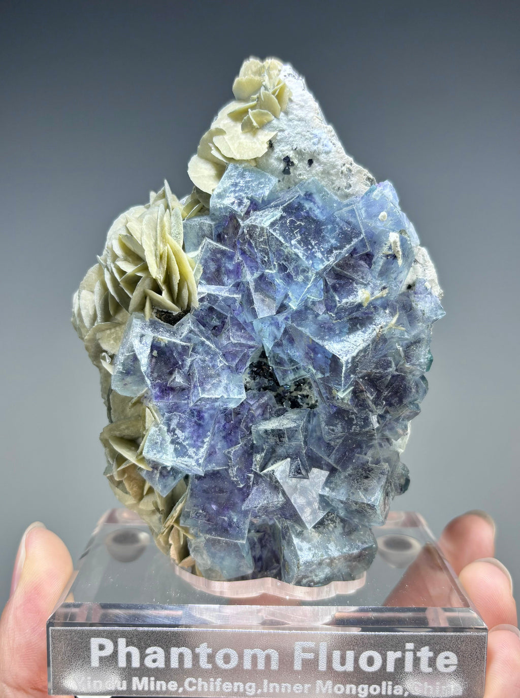 Blue Flourite Cubic Formation with Purple Phantom Windowing from Yindu ...