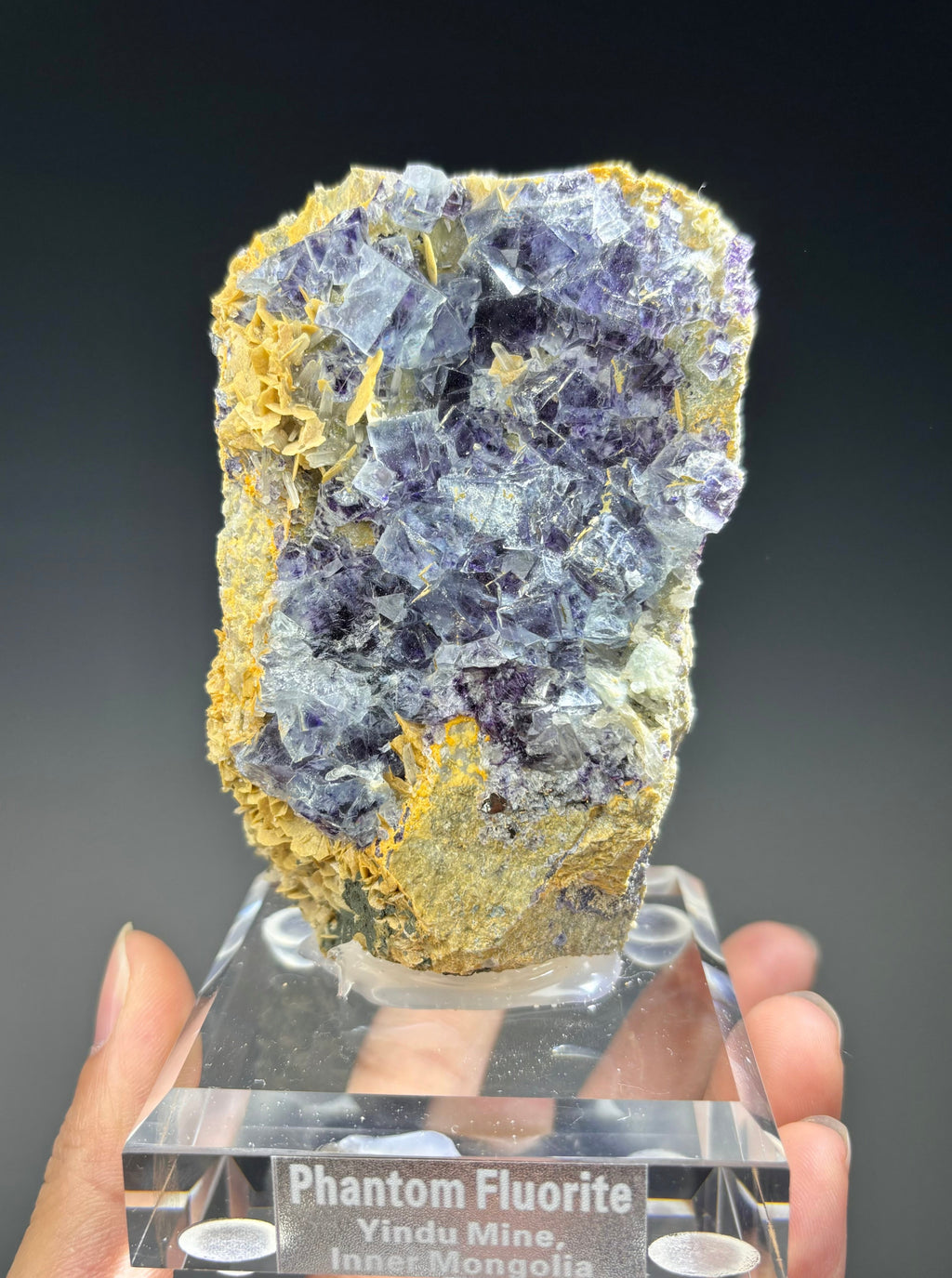 Blue Flourite Cubic Formation with Purple Phantom Windowing from Yindu ...