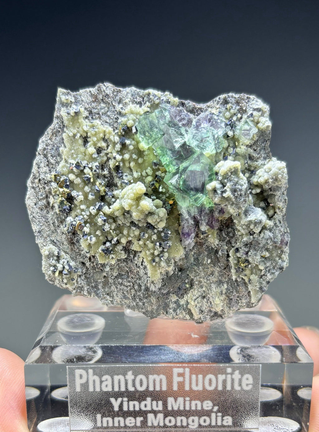 Blue Flourite Cubic Formation with Purple Phantom Windowing from Yindu ...