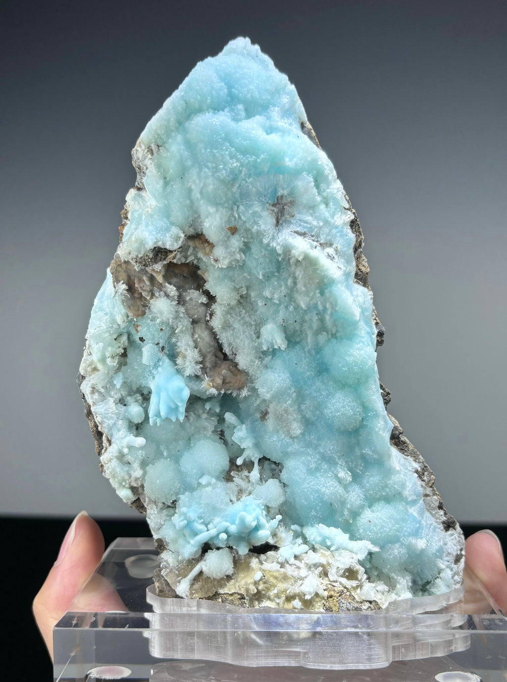 Aragonite with Botryoidal and Branching from Sichuan, China – Mineral Angel